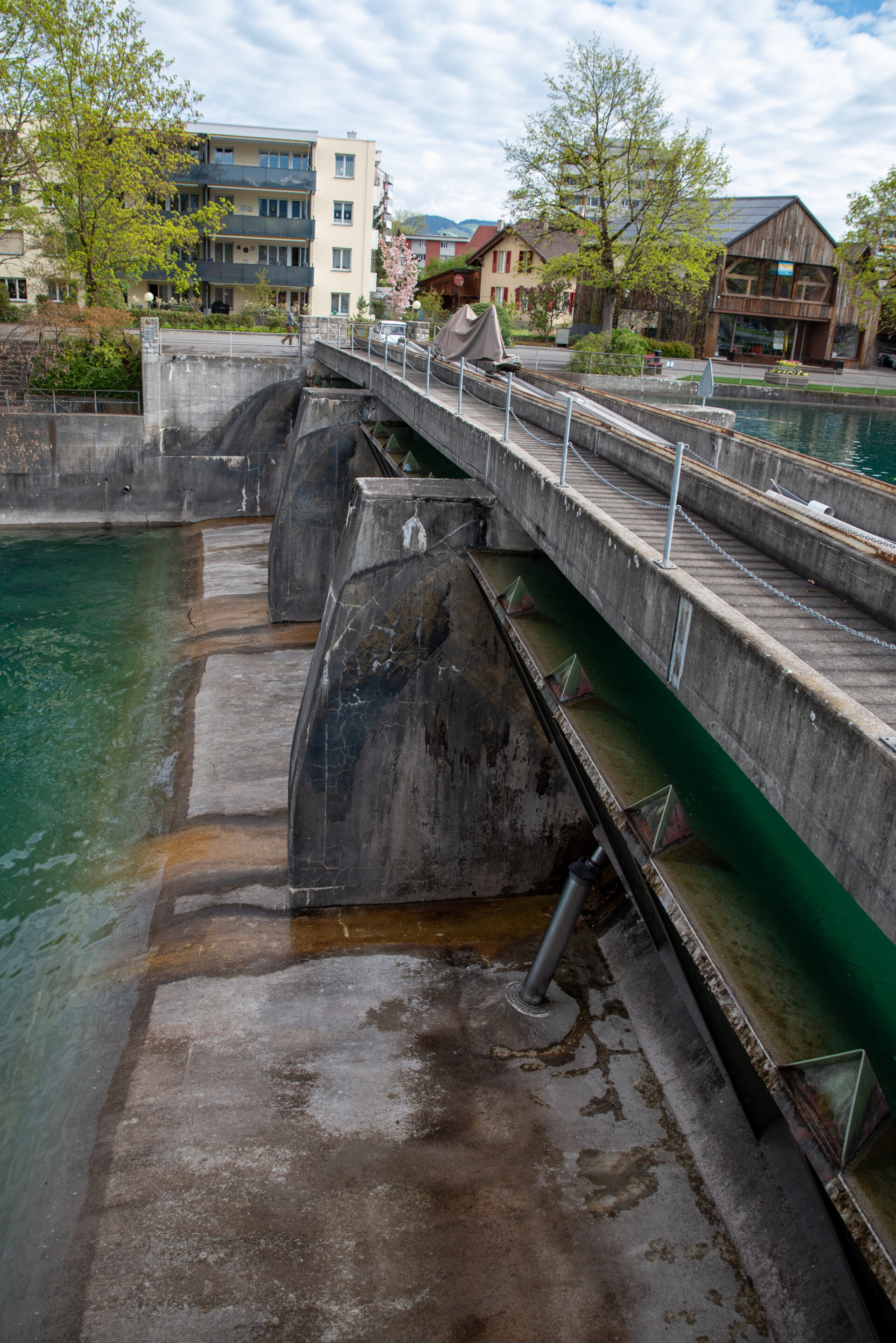 Wenn Fische Treppen steigen… - UND Generationentandem